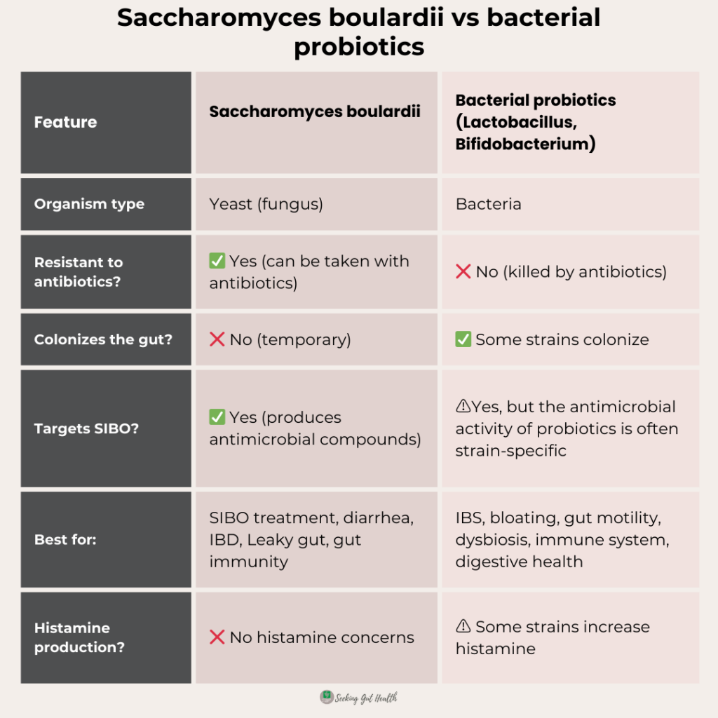 Probiotics for SIBO: Do they help or make symptoms worse?